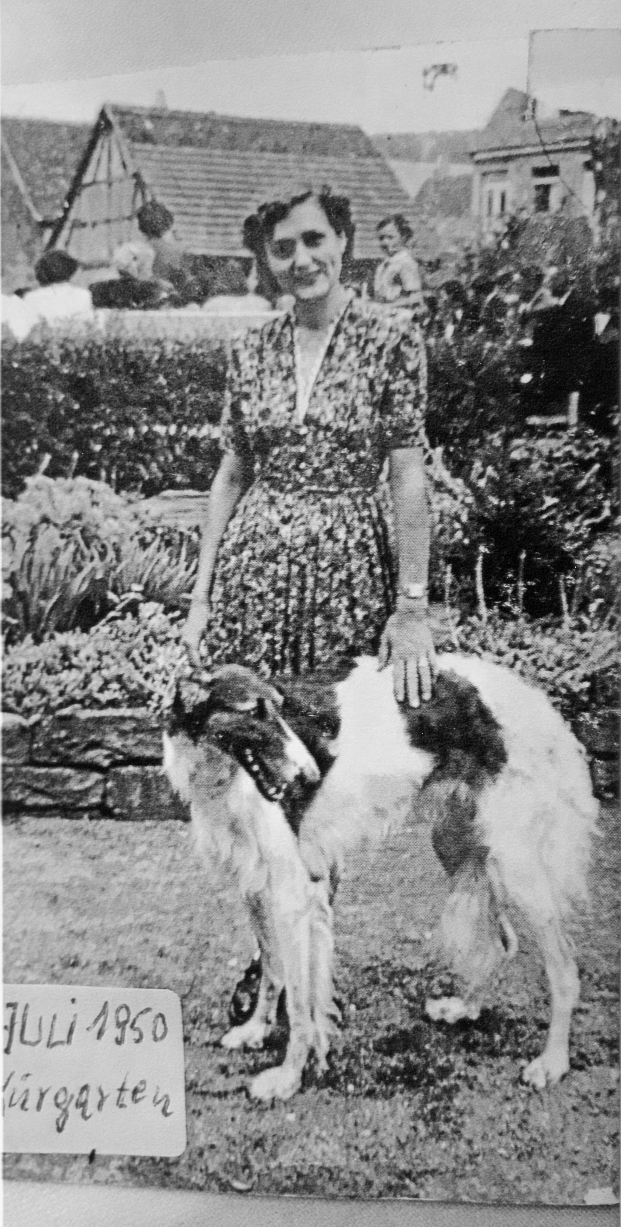 Bad König-Historie: Das vermutlich erste Bad Königer Windhunde-Foto aus ...